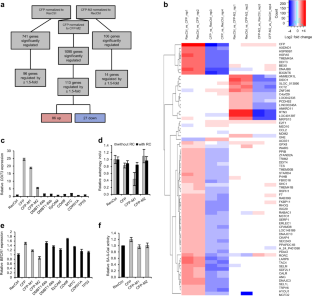 CFP suppresses breast cancer cell growth by TES-mediated upregulation ...