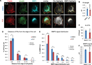 Septin 9 isoforms promote tumorigenesis in mammary epithelial cells by ...
