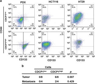 CDCP1 enhances Wnt signaling in colorectal cancer promoting nuclear ...