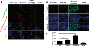 Blue light-triggered optogenetic system for treating uveal melanoma ...