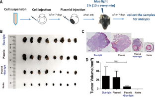 Blue light-triggered optogenetic system for treating uveal melanoma ...
