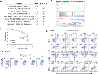 Therapeutic targeting of TP53-mutated acute myeloid leukemia by ...
