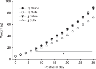 A Gunn rat model of preterm hyperbilirubinemia | Pediatric Research