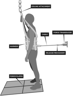 Reactive stepping after a forward fall in people living with incomplete ...