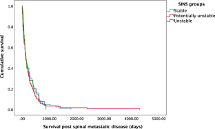 The clinical utility of the Spinal Instability Neoplastic Score (SINS ...