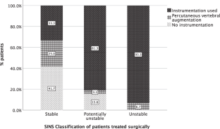 The clinical utility of the Spinal Instability Neoplastic Score (SINS ...