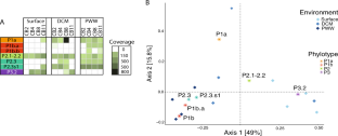 Diversity and biogeography of SAR11 bacteria from the Arctic Ocean ...