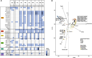 Diversity and biogeography of SAR11 bacteria from the Arctic Ocean ...