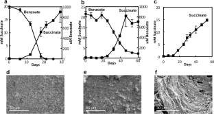 Syntrophus conductive pili demonstrate that common hydrogen-donating ...