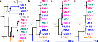 Repeated horizontal gene transfers triggered parallel evolution of ...