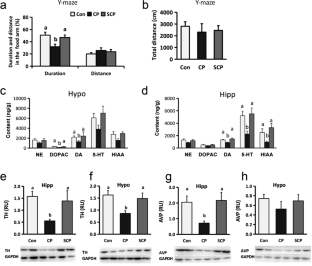 Coprophagy prevention alters microbiome, metabolism, neurochemistry ...