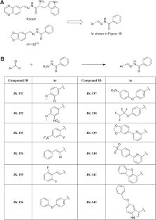 Rational design of small molecule RHOA inhibitors for gastric cancer ...