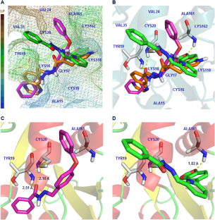 Rational design of small molecule RHOA inhibitors for gastric cancer ...