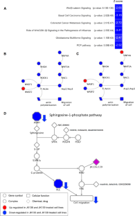 Rational design of small molecule RHOA inhibitors for gastric cancer ...