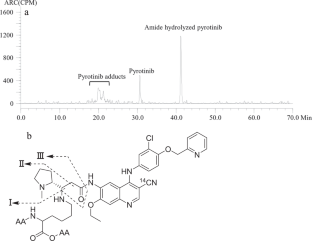 Metabolism and disposition of pyrotinib in healthy male volunteers ...