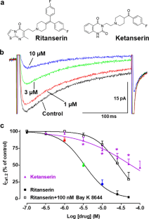 Ritanserin blocks Ca V 1.2 channels in rat artery smooth muscles ...
