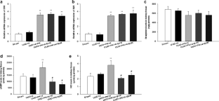 Exogenous pancreatic kininogenase protects against renal fibrosis in ...