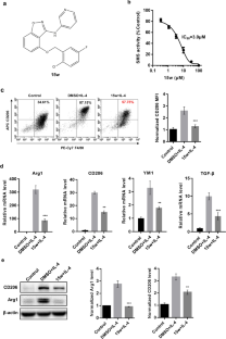 Sphingomyelin synthase 2 facilitates M2-like macrophage polarization ...