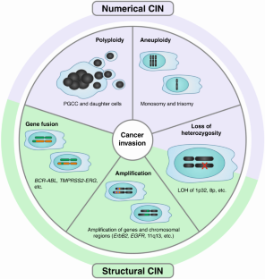 Mutational drivers of cancer cell migration and invasion | British ...