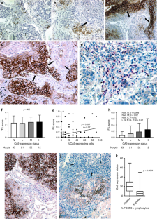 Carbonic anhydrase 9 (CA9) expression in non-small-cell lung cancer ...
