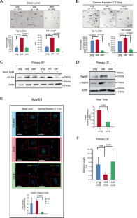 Genomic stability, anti-inflammatory phenotype, and up-regulation of ...