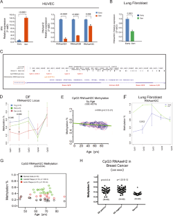 Genomic stability, anti-inflammatory phenotype, and up-regulation of ...