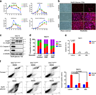 Mutant GTF2I induces cell transformation and metabolic alterations in ...