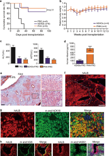 Human ESC-derived expandable hepatic organoids enable therapeutic liver ...