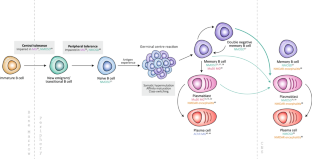 Single-cell approaches to investigate B cells and antibodies in ...