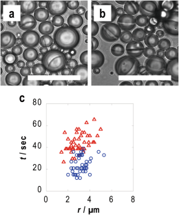 Transition of phase-separated PBTPA/PMMA solution droplets from core ...