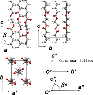 Relationship between twisting phenomenon and structural discontinuity ...