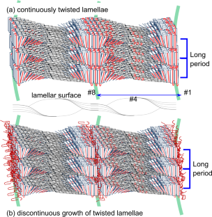 Relationship between twisting phenomenon and structural discontinuity ...