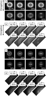 Elongation induced β- to α-crystalline transformation and microvoid ...