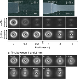 Elongation induced β- to α-crystalline transformation and microvoid ...