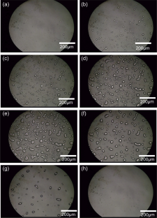 Cavitation in thin films of amorphous polymers from the static melt ...