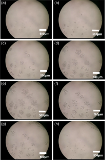 Cavitation in thin films of amorphous polymers from the static melt ...