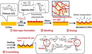Polysaccharide-based wrinkled surfaces induced by polyion complex skin ...