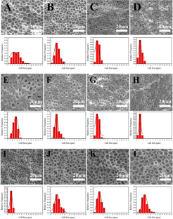 Mechanical properties of microcellular and nanocellular silicone rubber ...