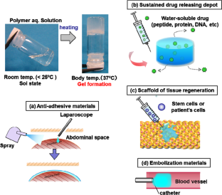 Temperature-responsive biodegradable injectable polymer systems with ...