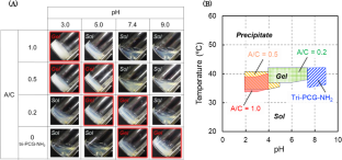 Temperature-responsive biodegradable injectable polymer systems with ...