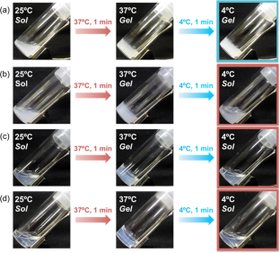 Temperature-responsive biodegradable injectable polymer systems with ...