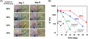 Temperature-responsive biodegradable injectable polymer systems with ...
