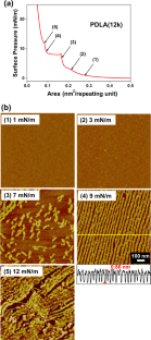 Extended-chain crystallization and stereocomplex formation of ...