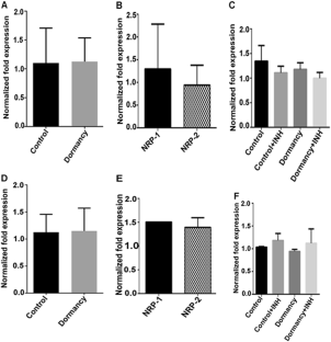 Dormant Mycobacterium tuberculosis converts isoniazid to the active ...