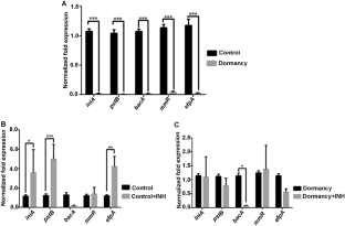 Dormant Mycobacterium tuberculosis converts isoniazid to the active ...