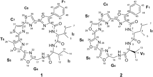 Isolation and structure determination of a new cytotoxic peptide ...