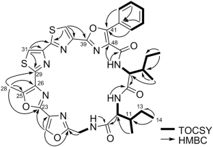 Isolation and structure determination of a new cytotoxic peptide ...