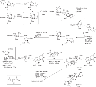 Tunicamycin: chemical synthesis and biosynthesis | The Journal of ...