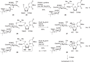 Tunicamycin: chemical synthesis and biosynthesis | The Journal of ...