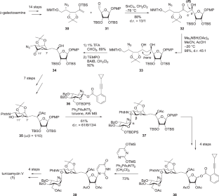 Tunicamycin: chemical synthesis and biosynthesis | The Journal of ...